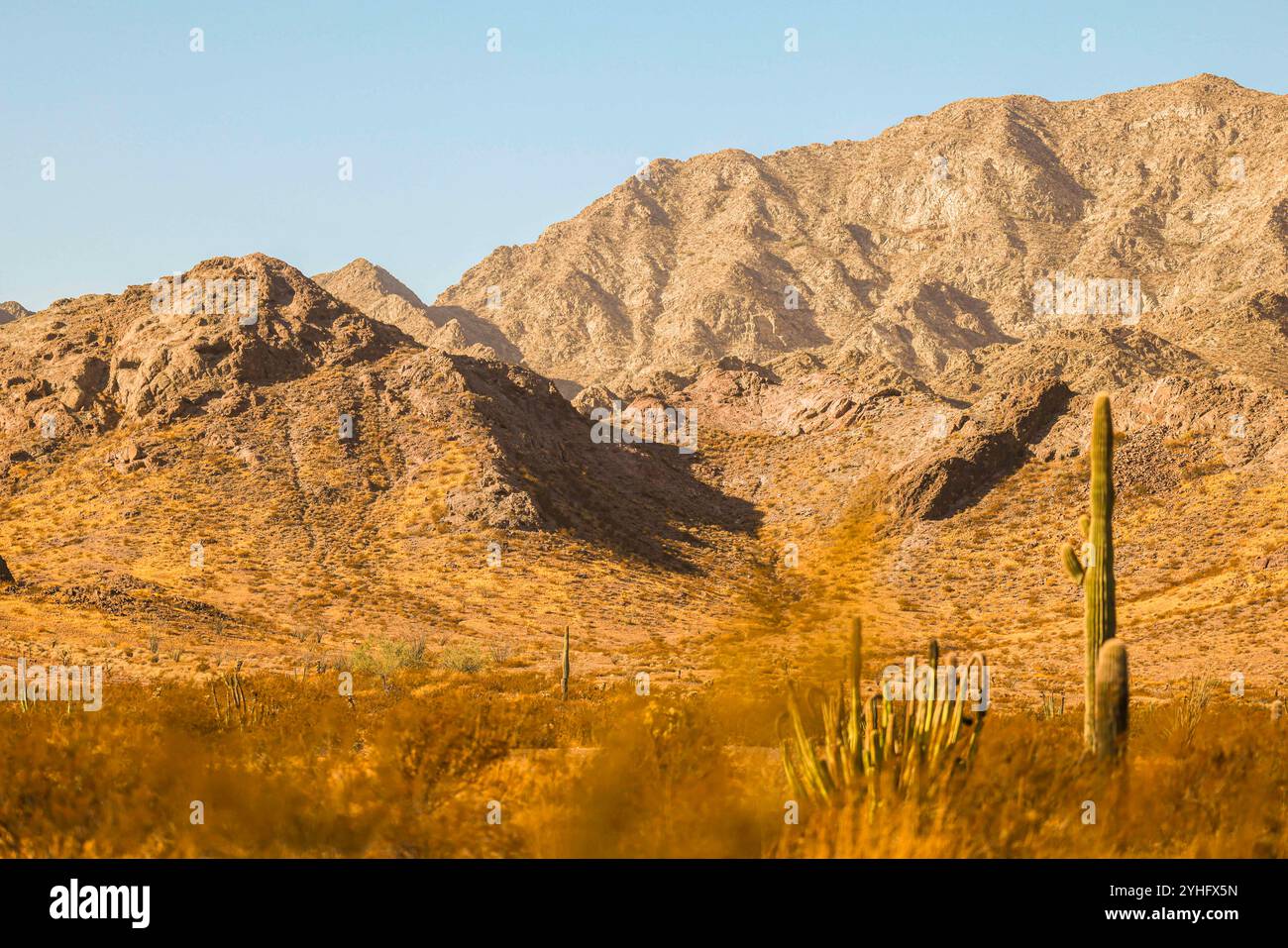 Sonoran Desert, El Pinacate Biosphere Reserve and the Great Altar ...