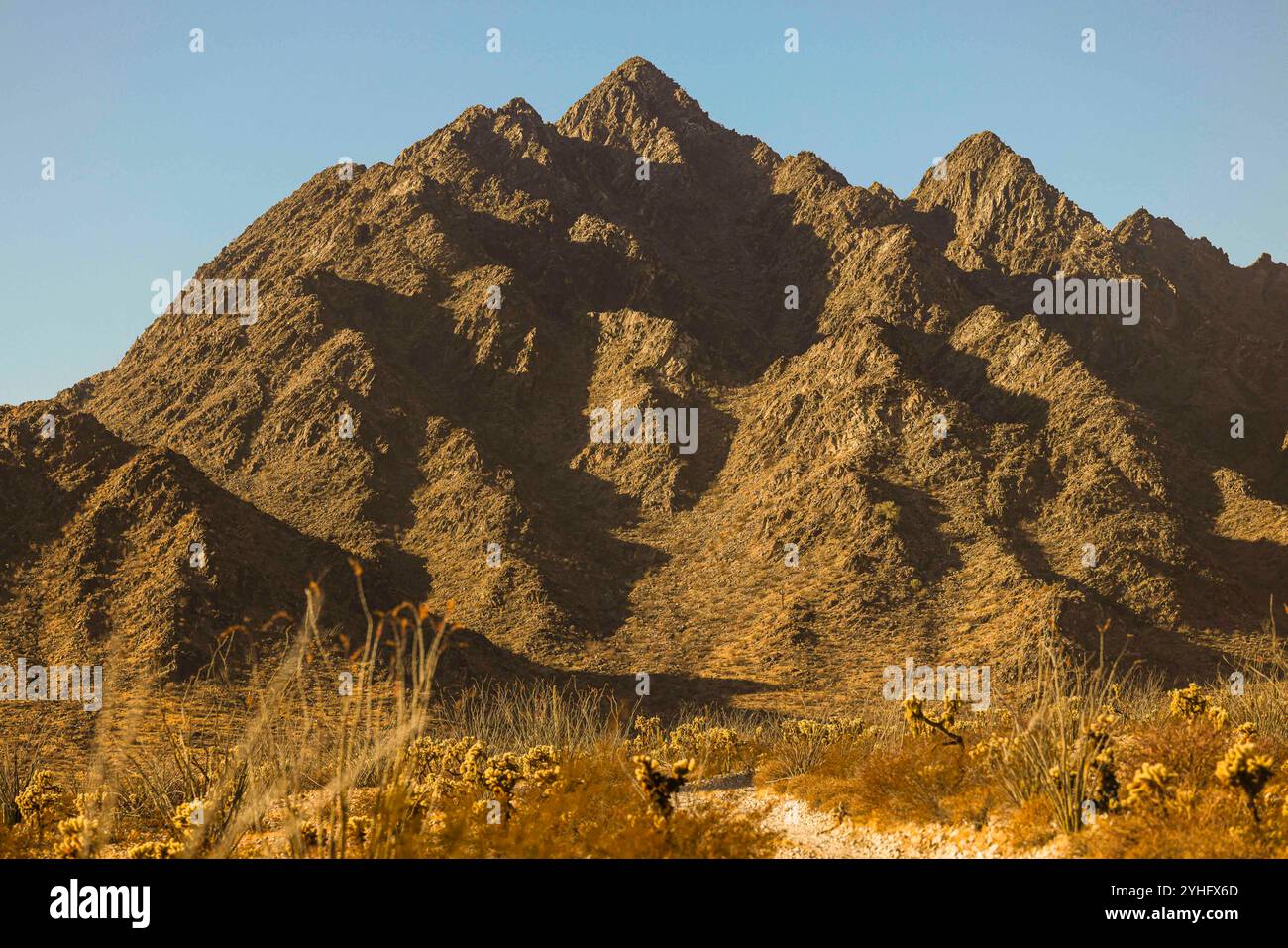 Sonoran Desert, El Pinacate Biosphere Reserve and the Great Altar ...