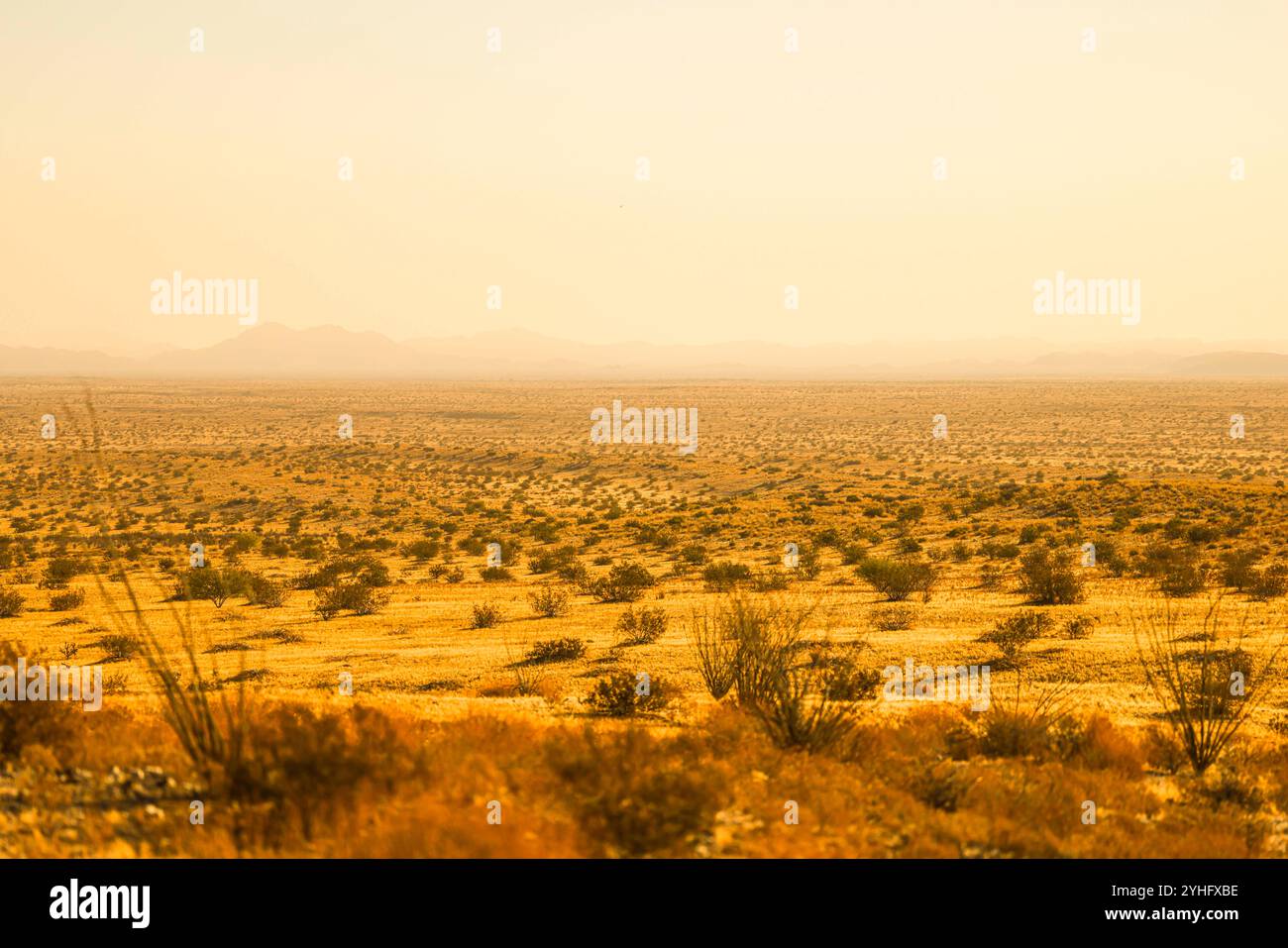 Sonoran Desert, El Pinacate Biosphere Reserve and the Great Altar ...