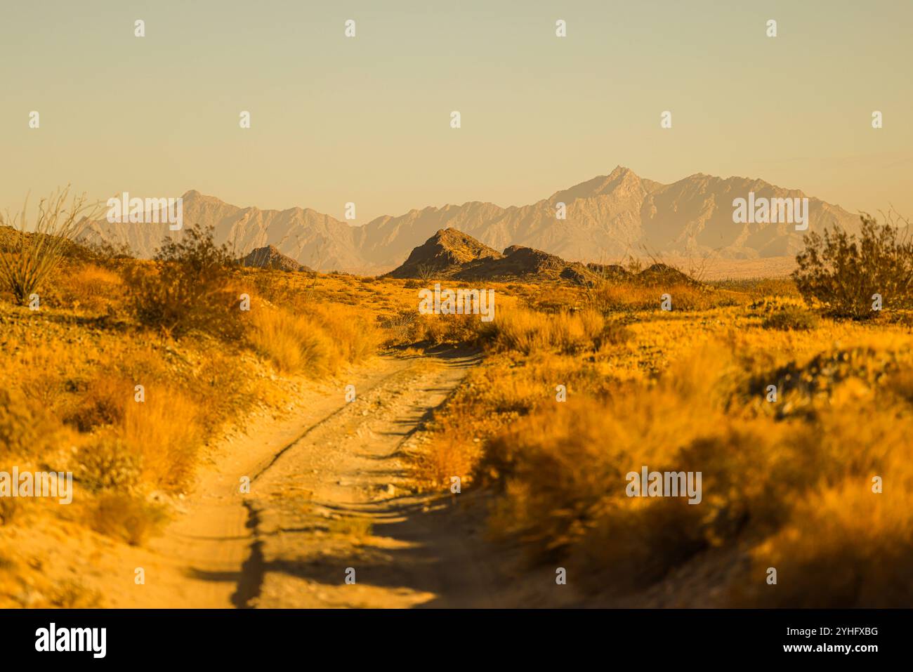 Sonoran Desert, El Pinacate Biosphere Reserve and the Great Altar ...