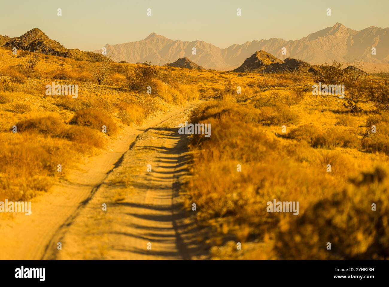 Sonoran Desert, El Pinacate Biosphere Reserve and the Great Altar ...