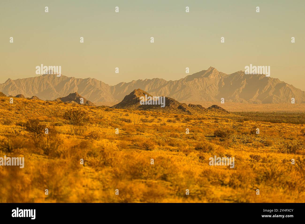 Sonoran Desert, El Pinacate Biosphere Reserve and the Great Altar ...