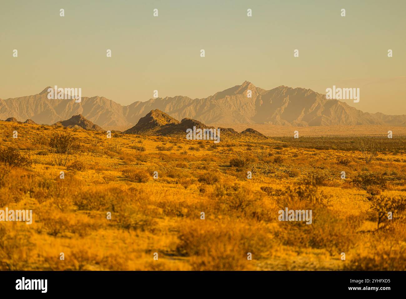 Sonoran Desert, El Pinacate Biosphere Reserve and the Great Altar ...