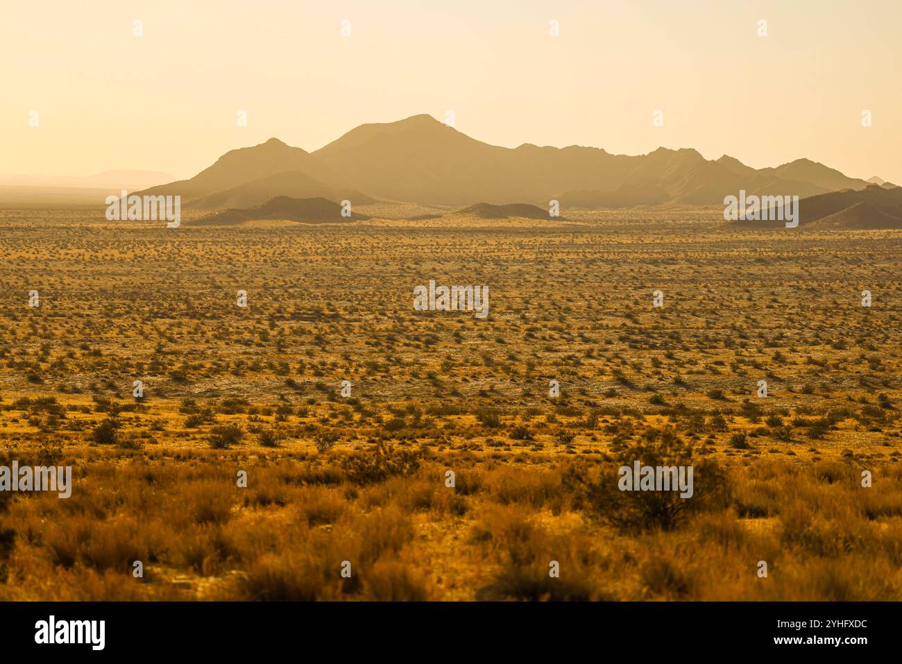 Sonoran Desert, El Pinacate Biosphere Reserve and the Great Altar ...