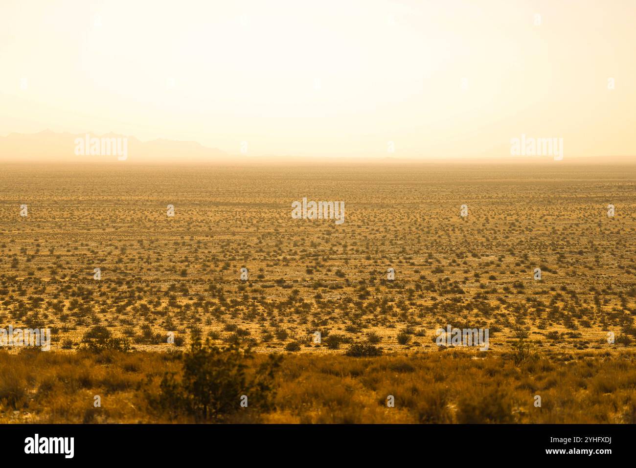 Sonoran Desert, El Pinacate Biosphere Reserve and the Great Altar ...