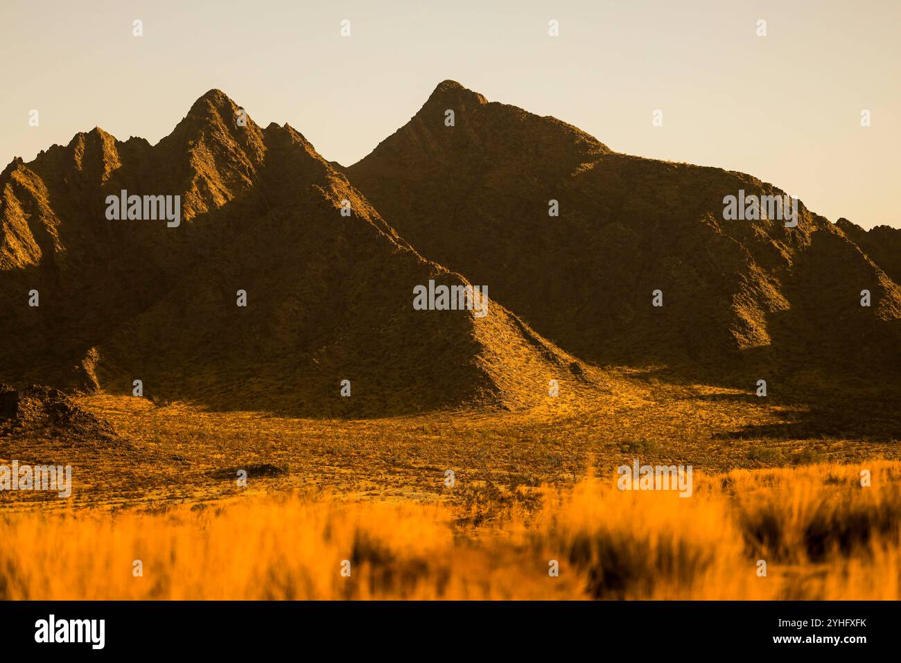Sonoran Desert, El Pinacate Biosphere Reserve and the Great Altar ...