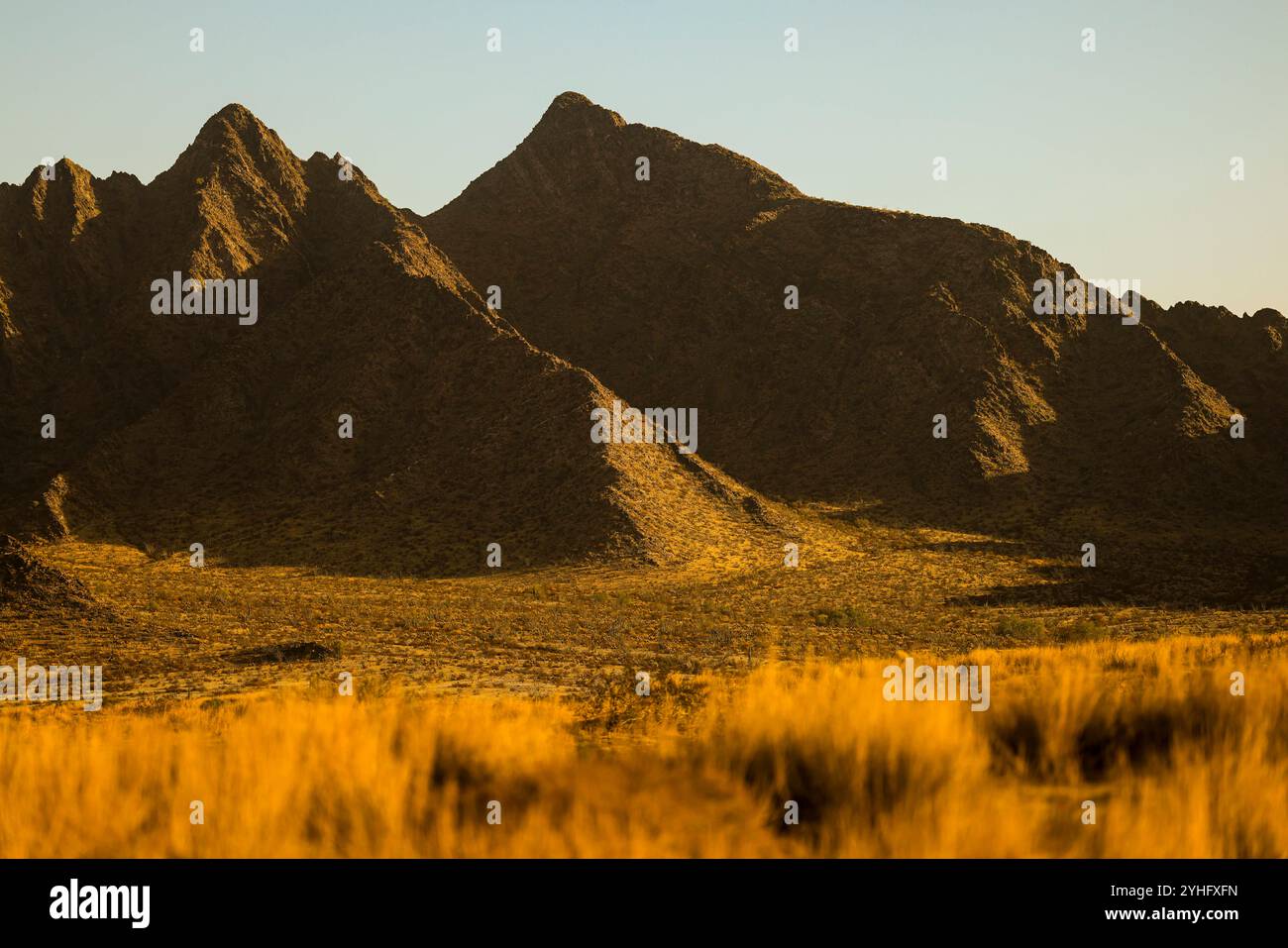 Sonoran Desert, El Pinacate Biosphere Reserve and the Great Altar ...