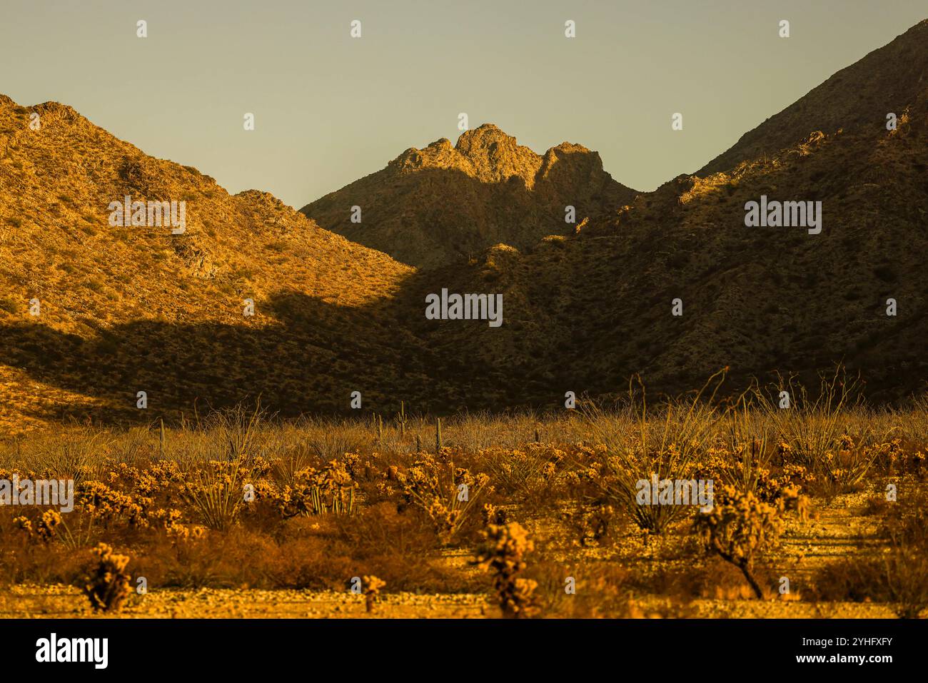Sonoran Desert, El Pinacate Biosphere Reserve and the Great Altar ...