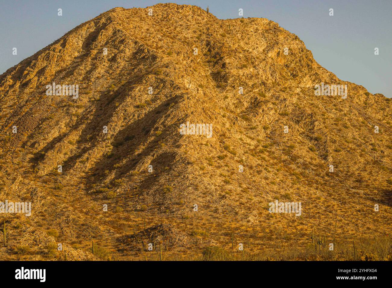 Sonoran Desert, El Pinacate Biosphere Reserve and the Great Altar ...