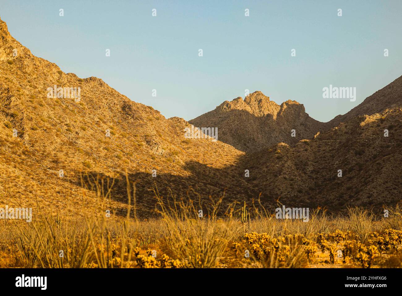 Sonoran Desert, El Pinacate Biosphere Reserve and the Great Altar ...