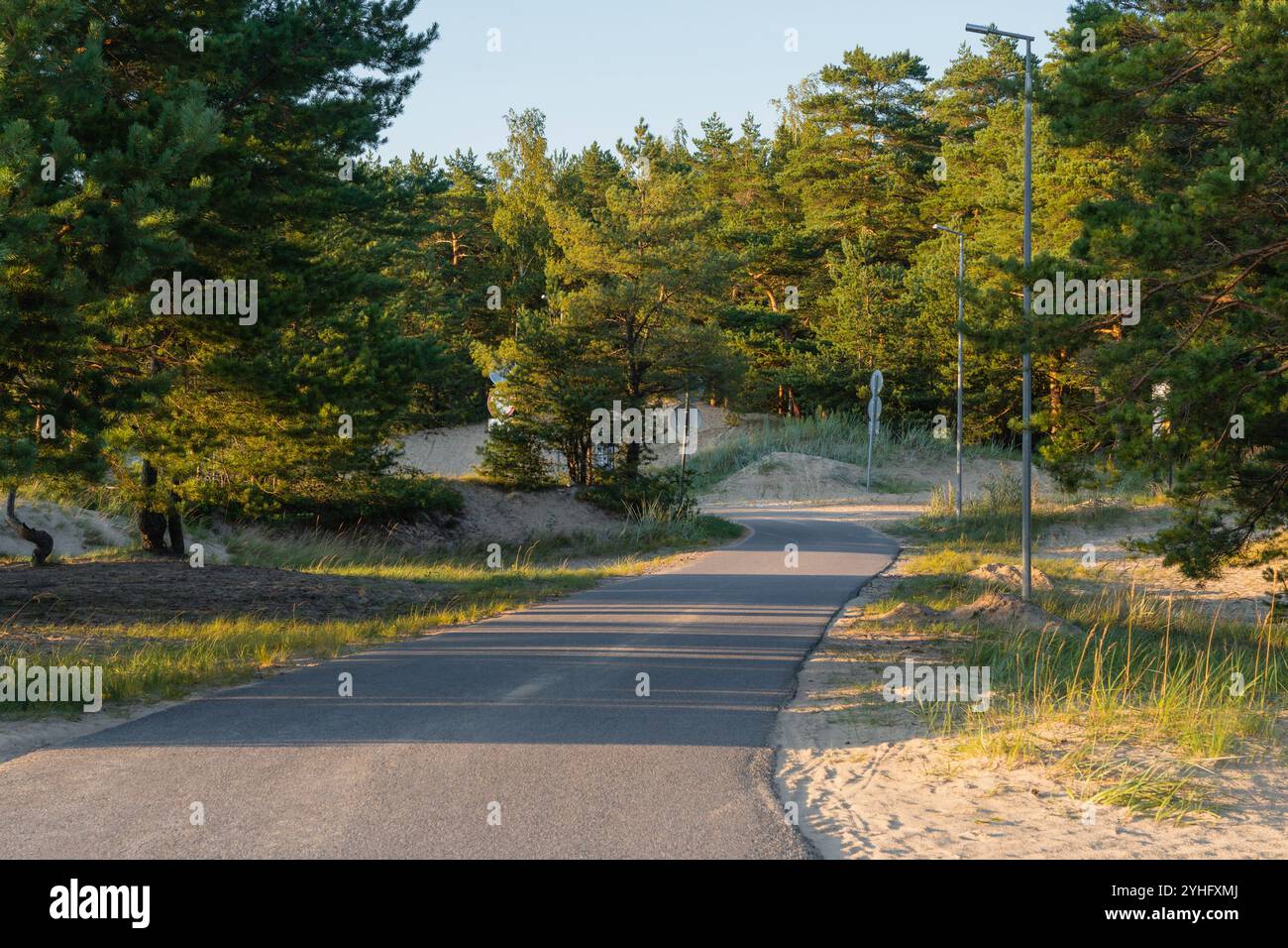 A paved path winding through a forested park with tall trees and grassy ...