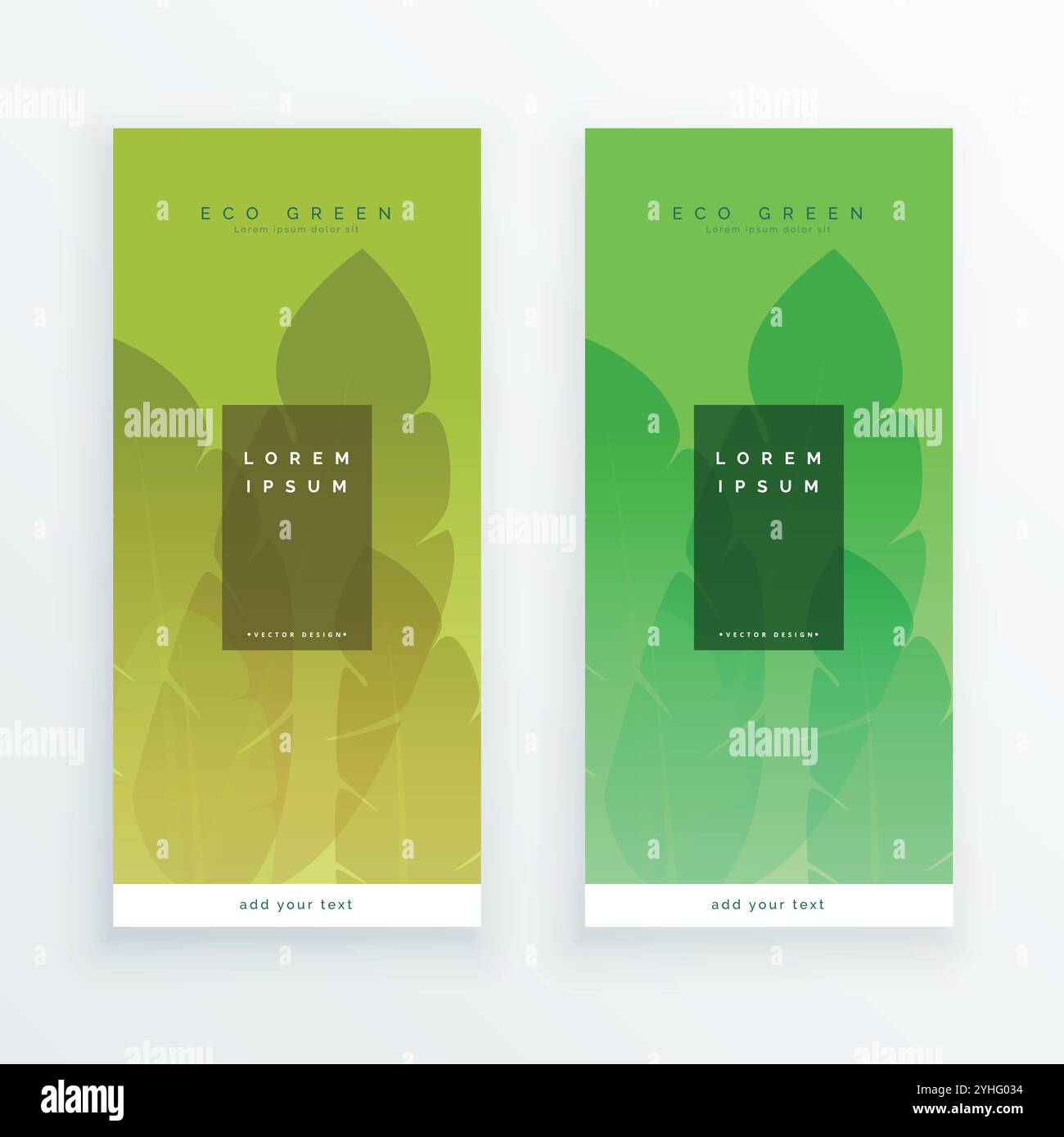 green eco leaves banners design vector illustration Stock Vector Image ...