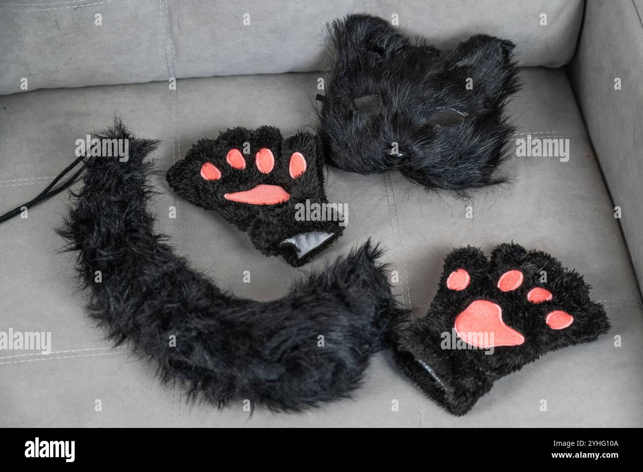 Cat costume on a gray sofa. Quadrober Stock Photo - Alamy