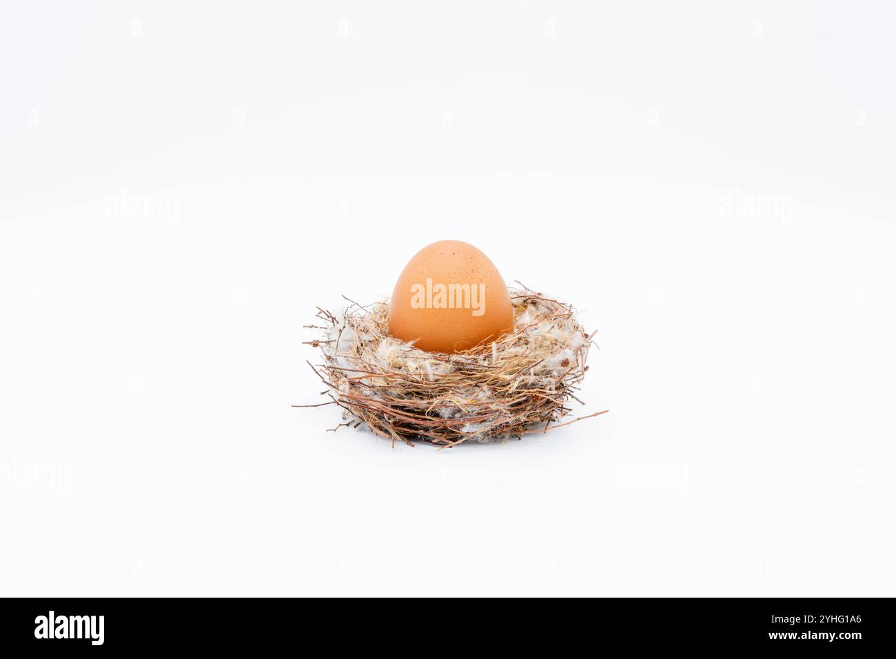Un huevo de gallina hi-res stock photography and images - Alamy