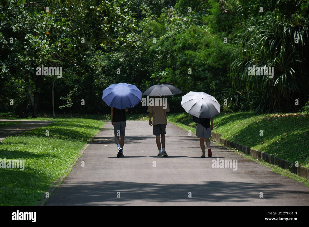 Three adults walking a path exploring St Johns Island in the midway sun ...