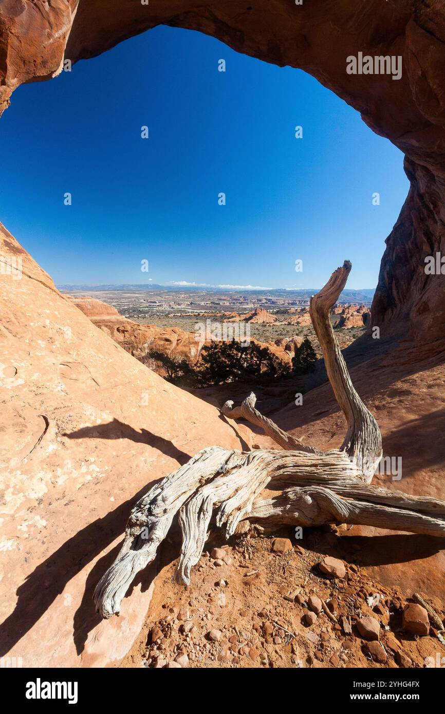 A juniper log lying below Partition Arch along the Devils Garden Trail ...