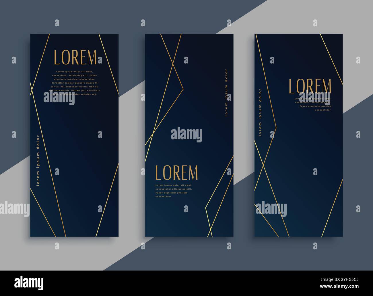 dark vertical banners set with golden geometric lines Stock Vector ...
