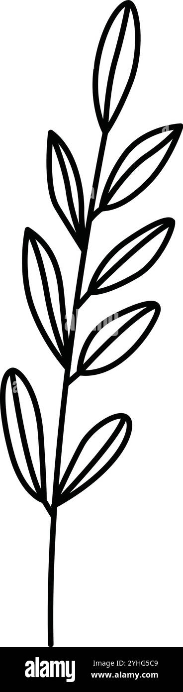 Aesthetic Branch with Leaves Vector Icon Stock Vector Image & Art - Alamy