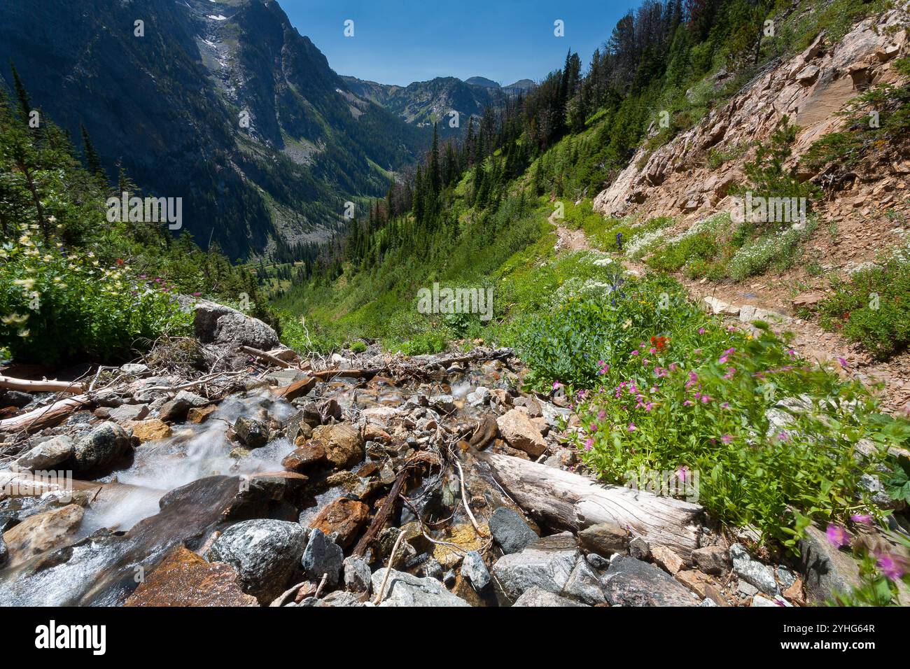 A hiking trail descending from the Static Peak Divide into Death Canyon ...