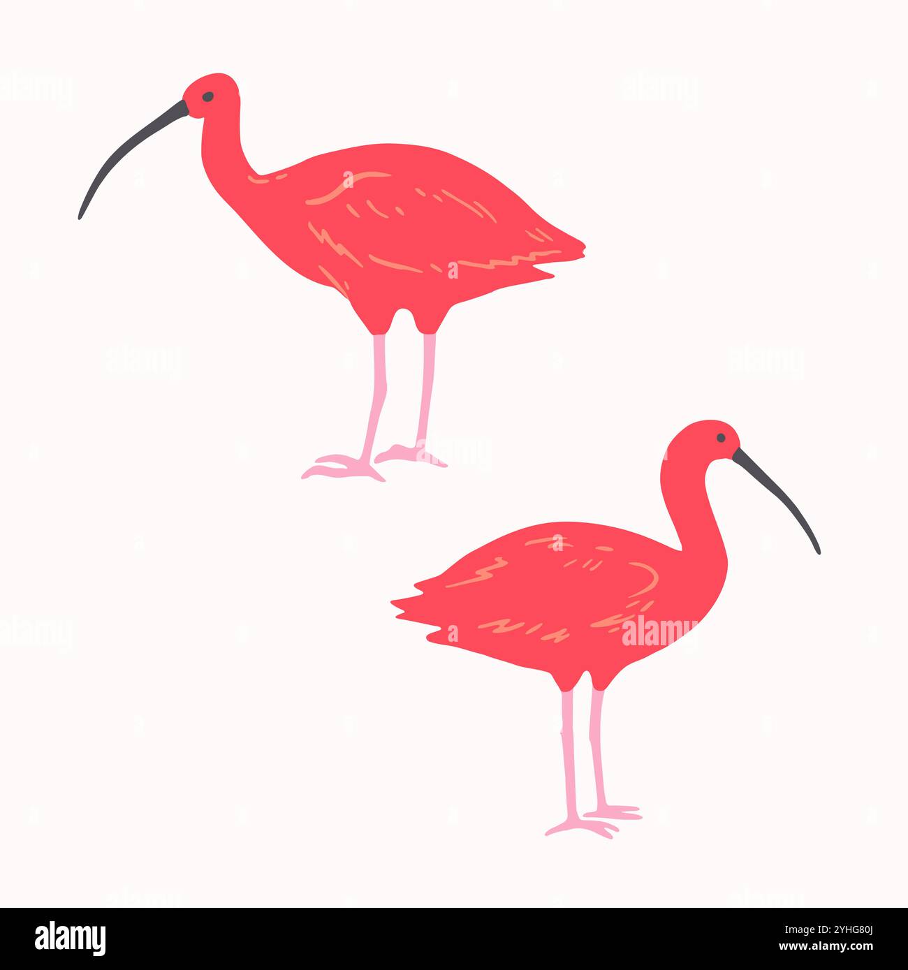 Set of red ibis in minimalistic style. Vector illustration Stock Vector ...