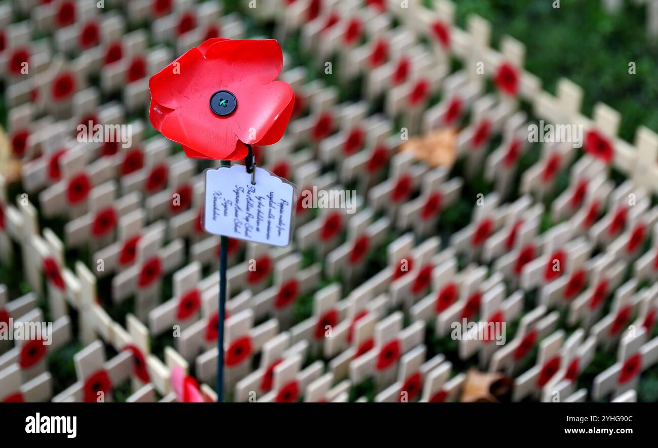 London, Remembrance Day is observed to remember the sacrifices made by ...