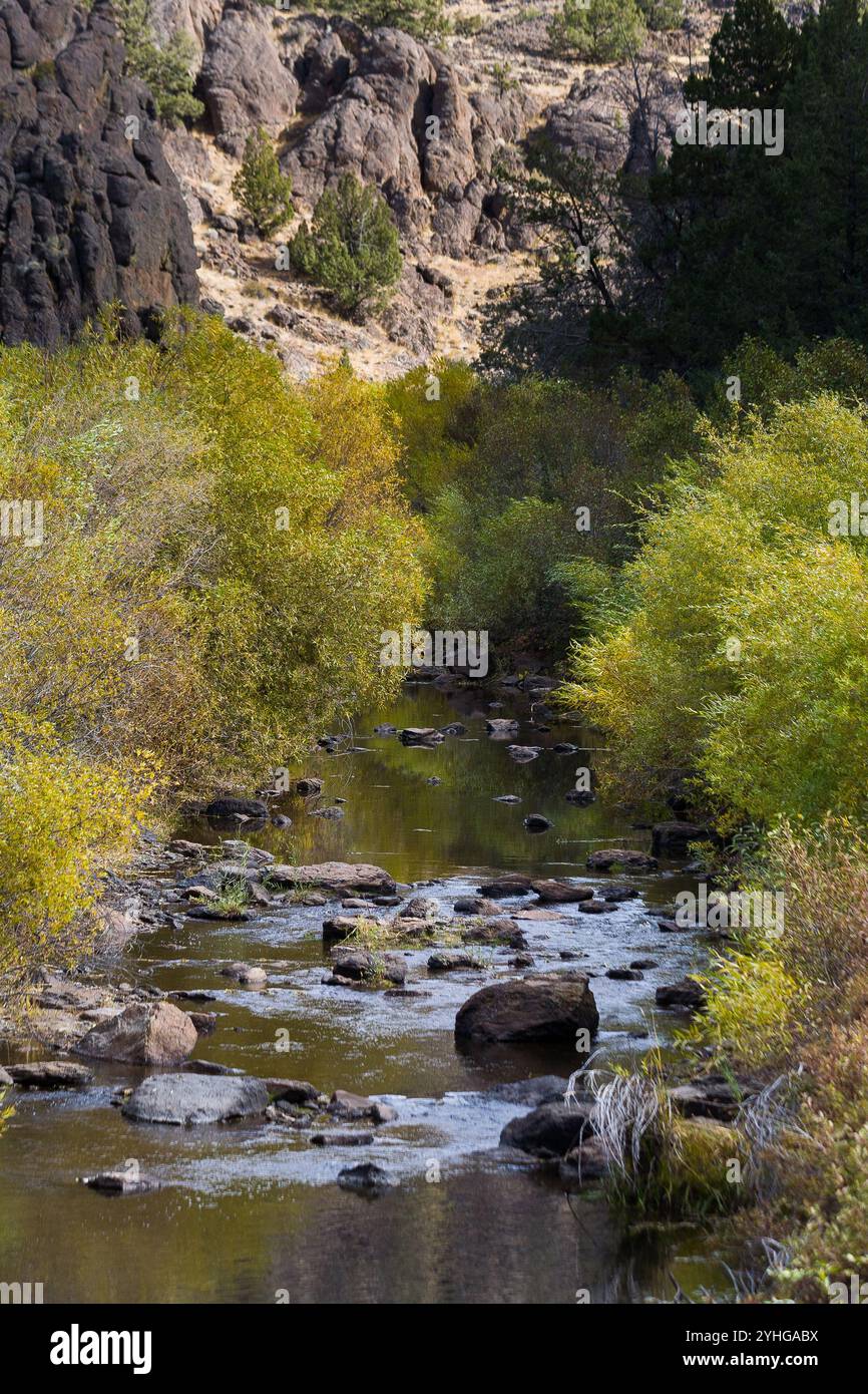 The North Fork of the Owyhee River flowing through the Owyhee Mountains ...