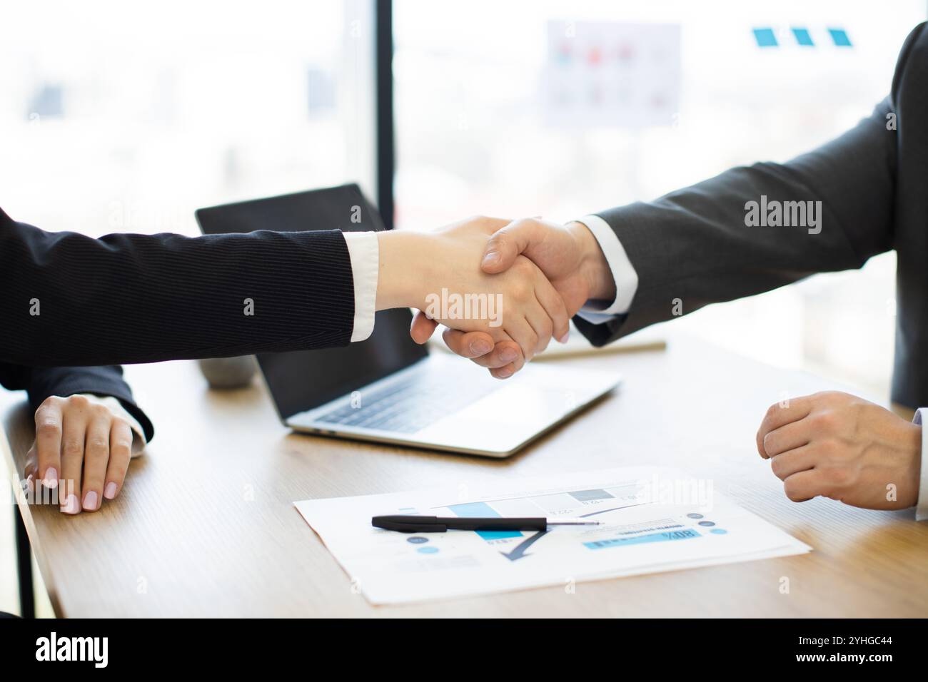 Business handshake between professionals sealing a successful agreement ...