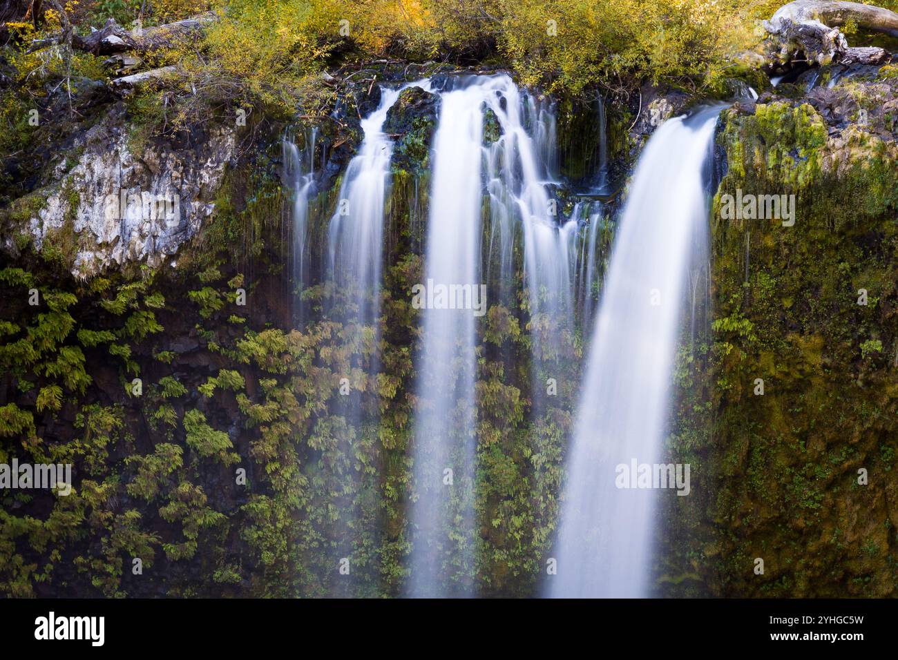 Koosah Falls pouring over a large cliff along the MacKenzie River ...