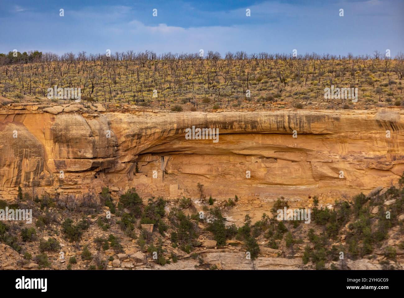 Mesa Verde National Park in Colorado is where Ancestral Pueblo people ...