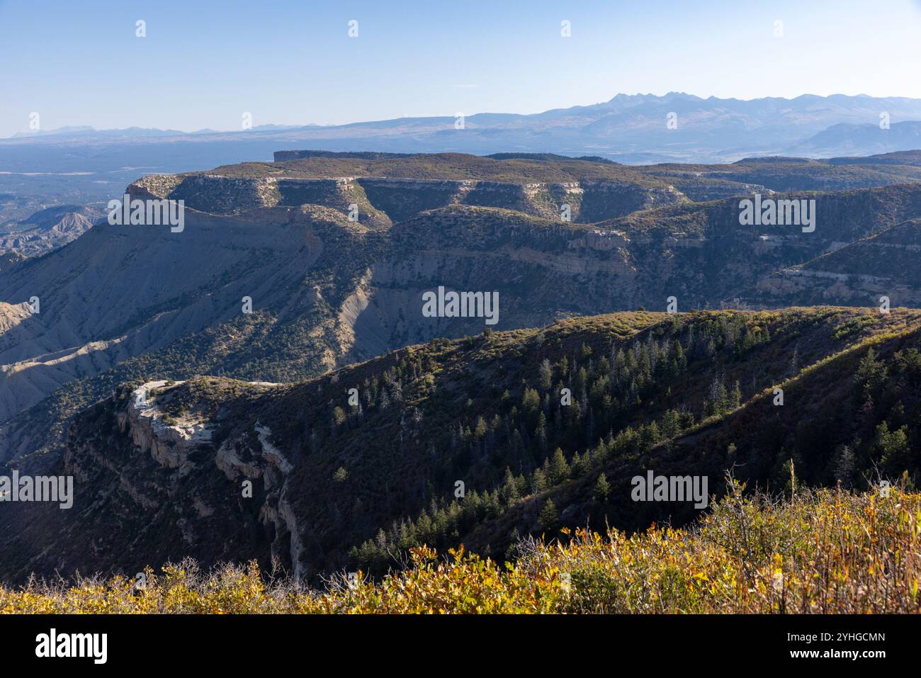 Mesa Verde National Park in Colorado is where Ancestral Pueblo people ...