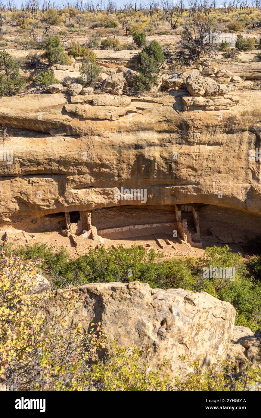 Mesa Verde National Park in Colorado is where Ancestral Pueblo people ...