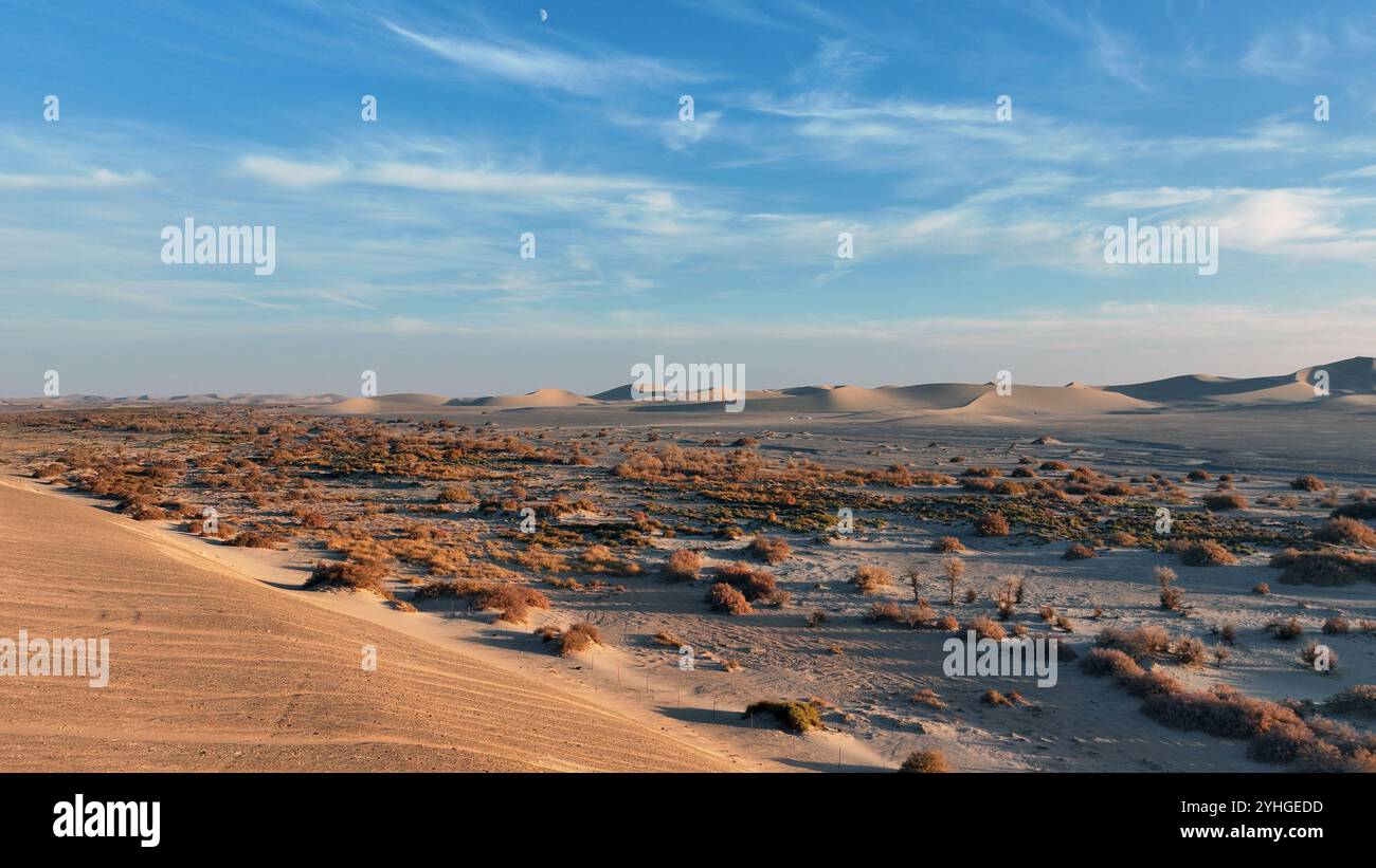 Hami, China. 12th Nov, 2024. HAMI, CHINA - NOVEMBER 10, 2024 - Photo ...