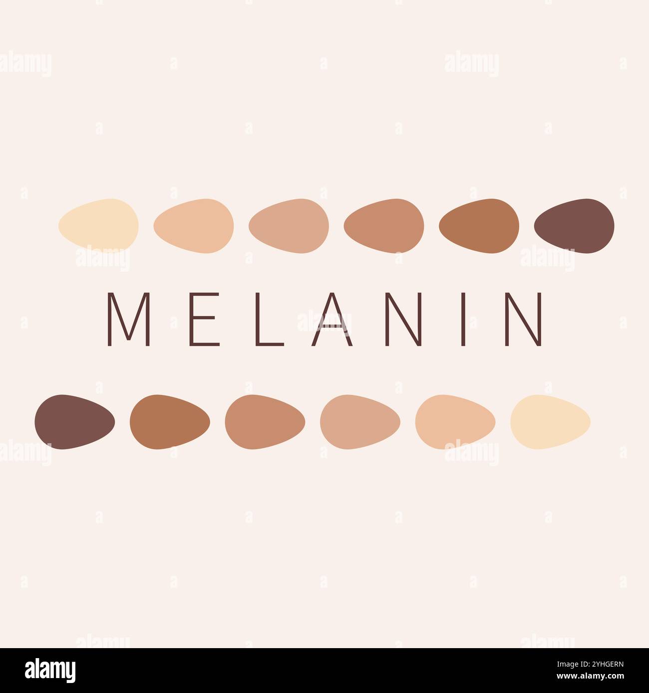 Melanin skin tone palette scheme hi-res stock photography and images ...