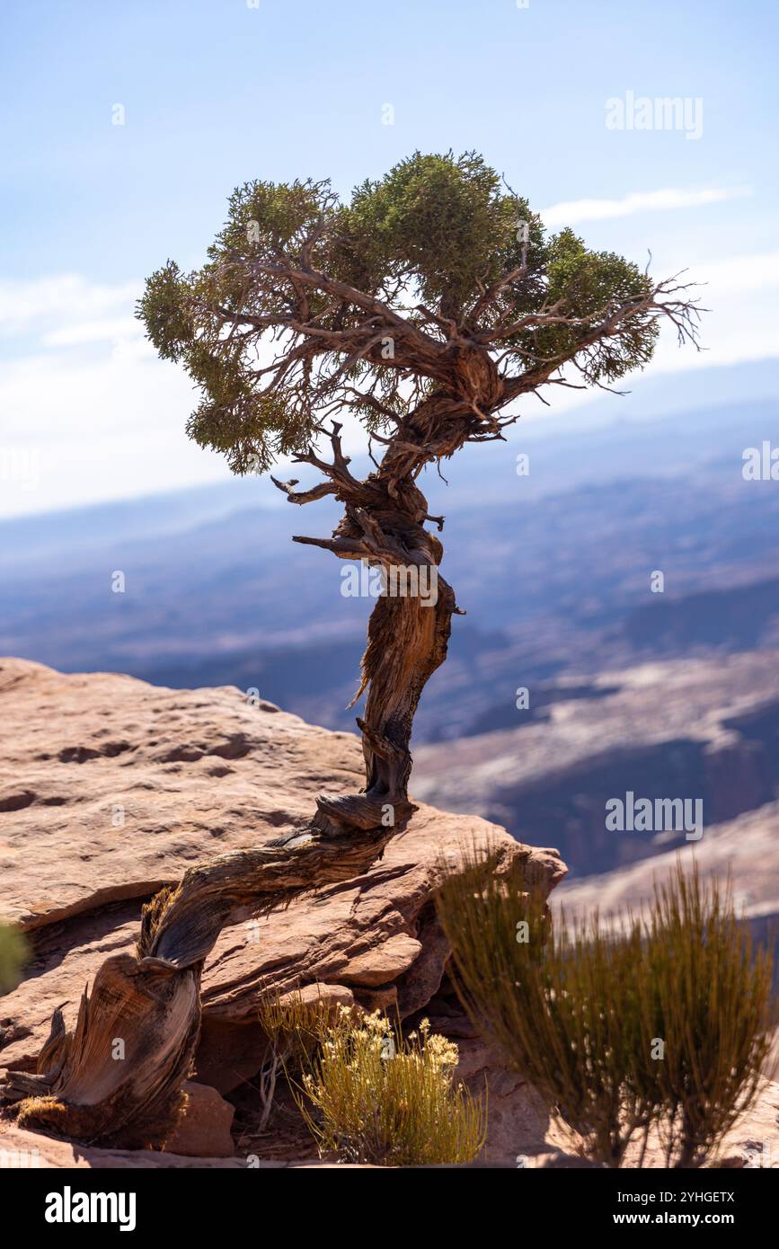 Canyonlands National Park is a vast wilderness of desert landscape ...