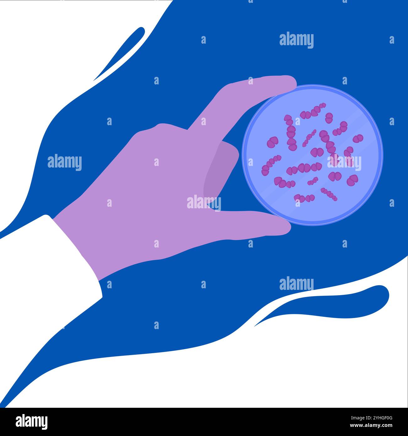 Streptococcus Pneumoniae bacteria cell diagram Stock Vector Image & Art ...