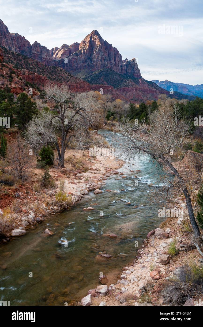 The Watchman towers above the Virgin River in Zion National Park, Utah ...