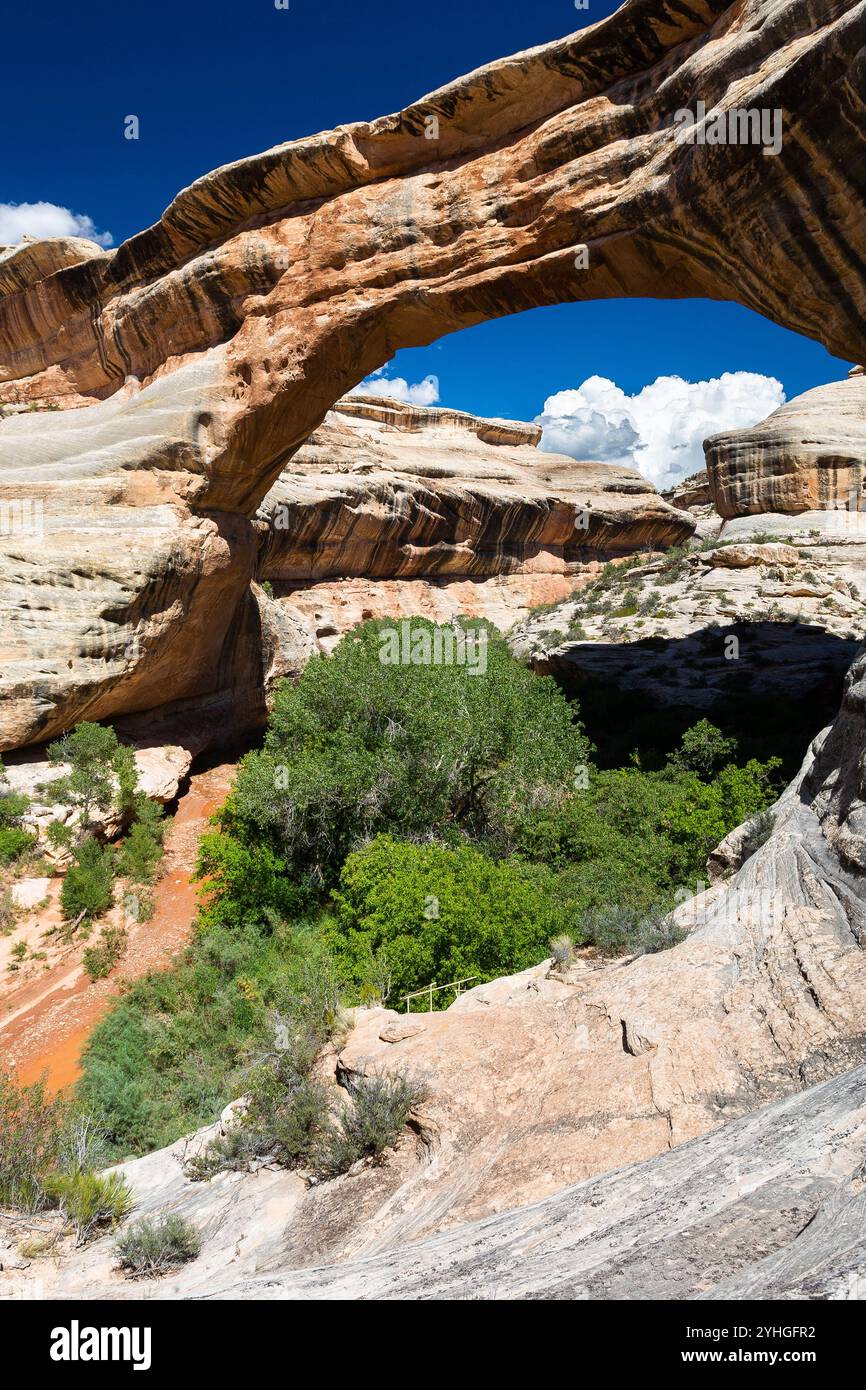 Sipapu Bridge spanning across White Canyon. Natural Bridges National ...