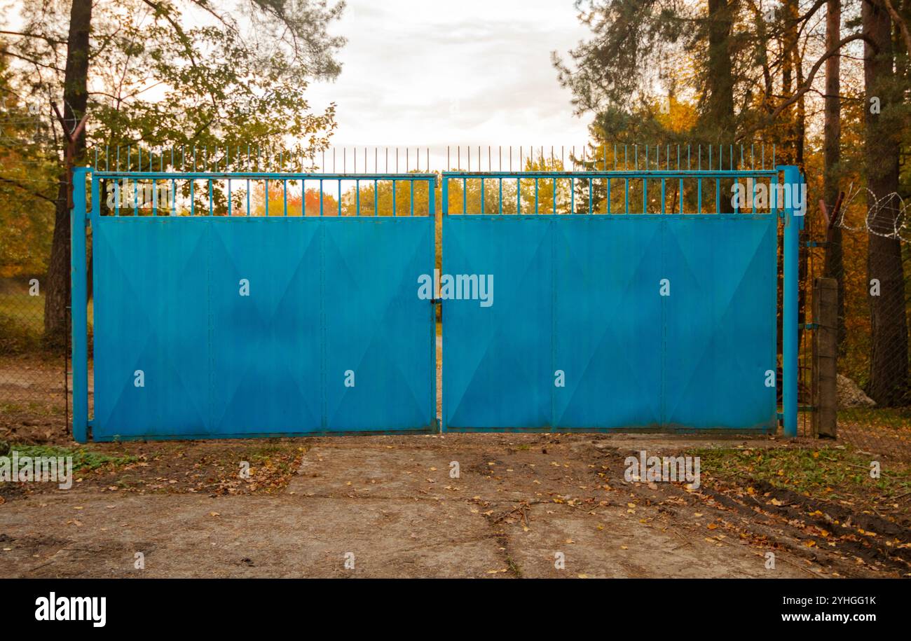 Big blue metal gate to the enclosure in the woods Stock Photo - Alamy