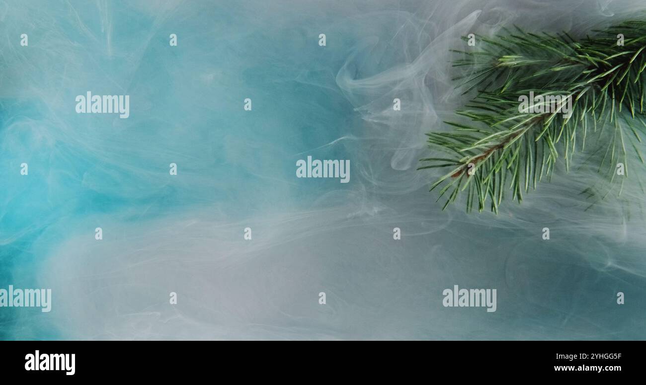 Fir sprig mist hazy flow hi-res stock photography and images - Alamy