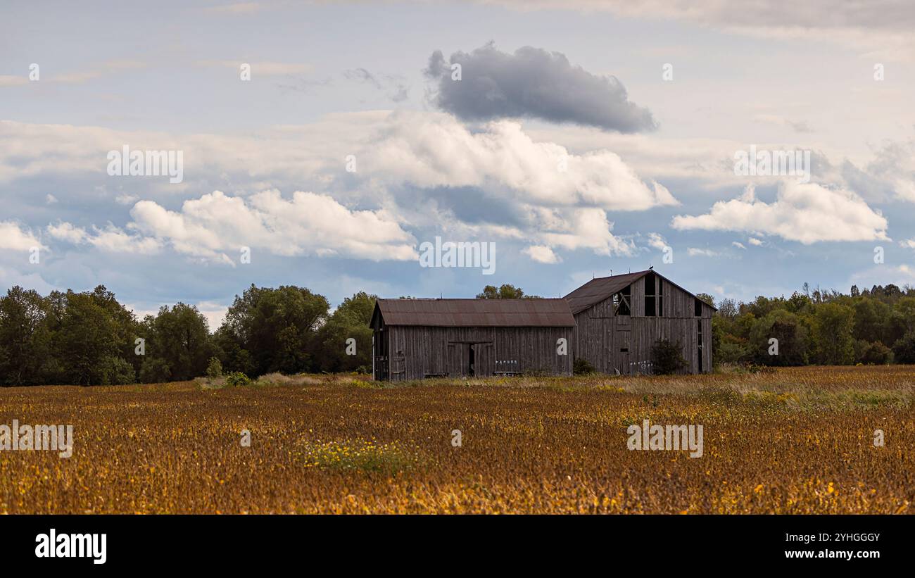 Big barns hi-res stock photography and images - Alamy