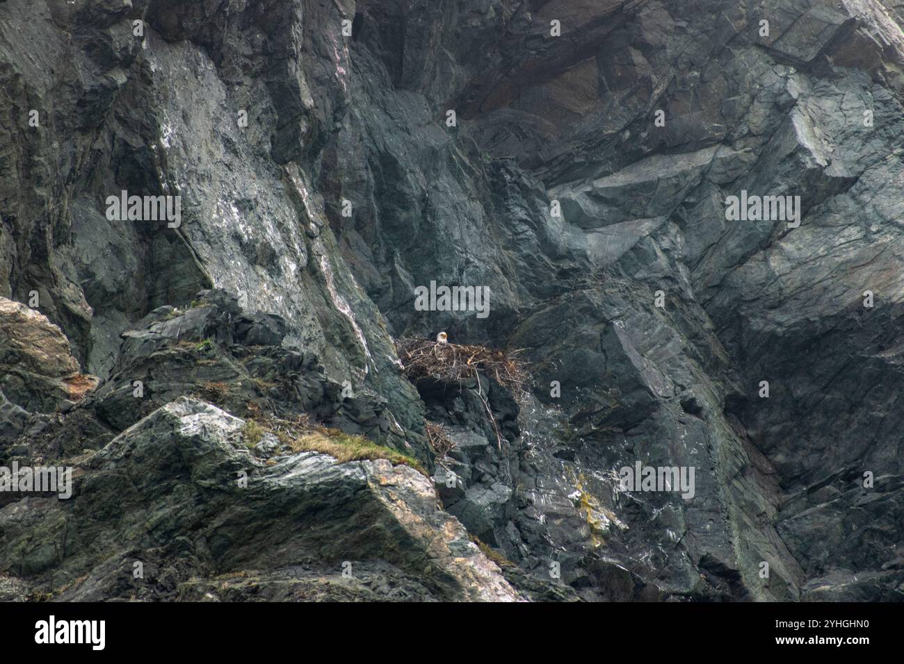 Newfoundland, canada aerial hi-res stock photography and images - Alamy