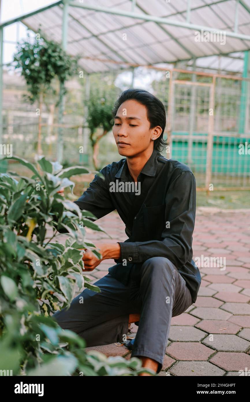 Greenery create hi-res stock photography and images - Alamy