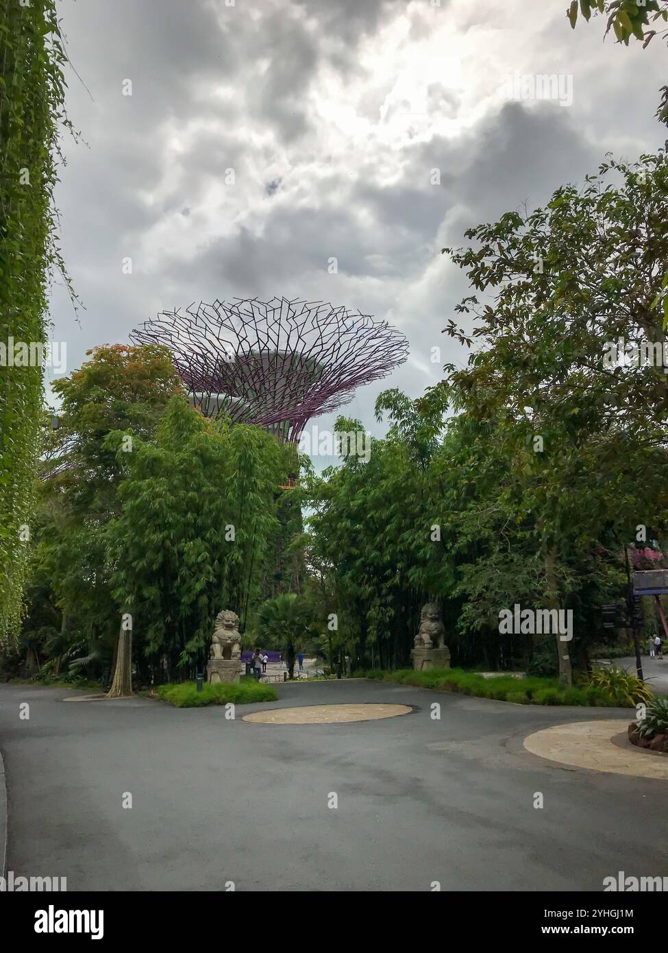 Supertree Grove trees in the Gardens by the Bay Stock Photo - Alamy