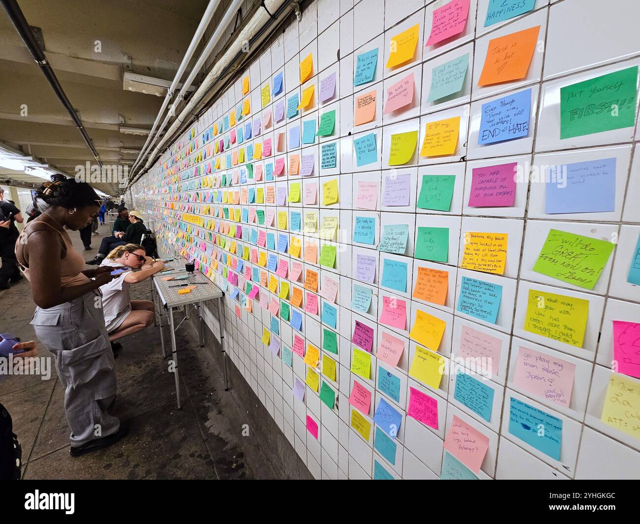 New York City, United States. 08th Nov, 2024. Artist Matthew Chavez ...