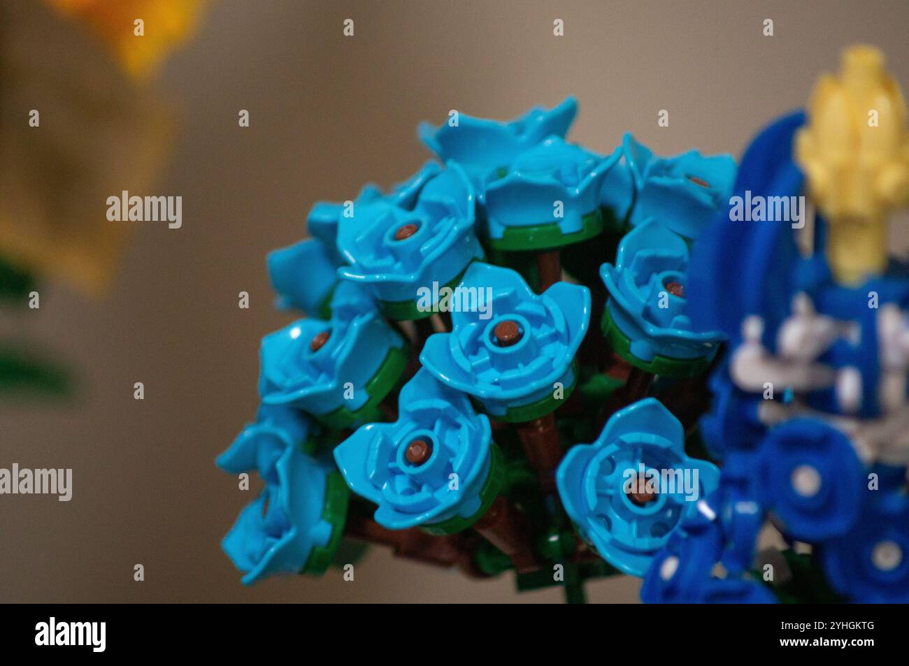 Playful arrangement of colorful flowers hi-res stock photography and ...