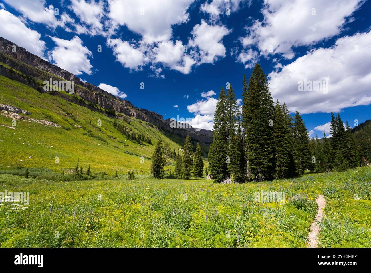 The Death Canyon Trail leading down into Death Canyon, Grand Teton ...