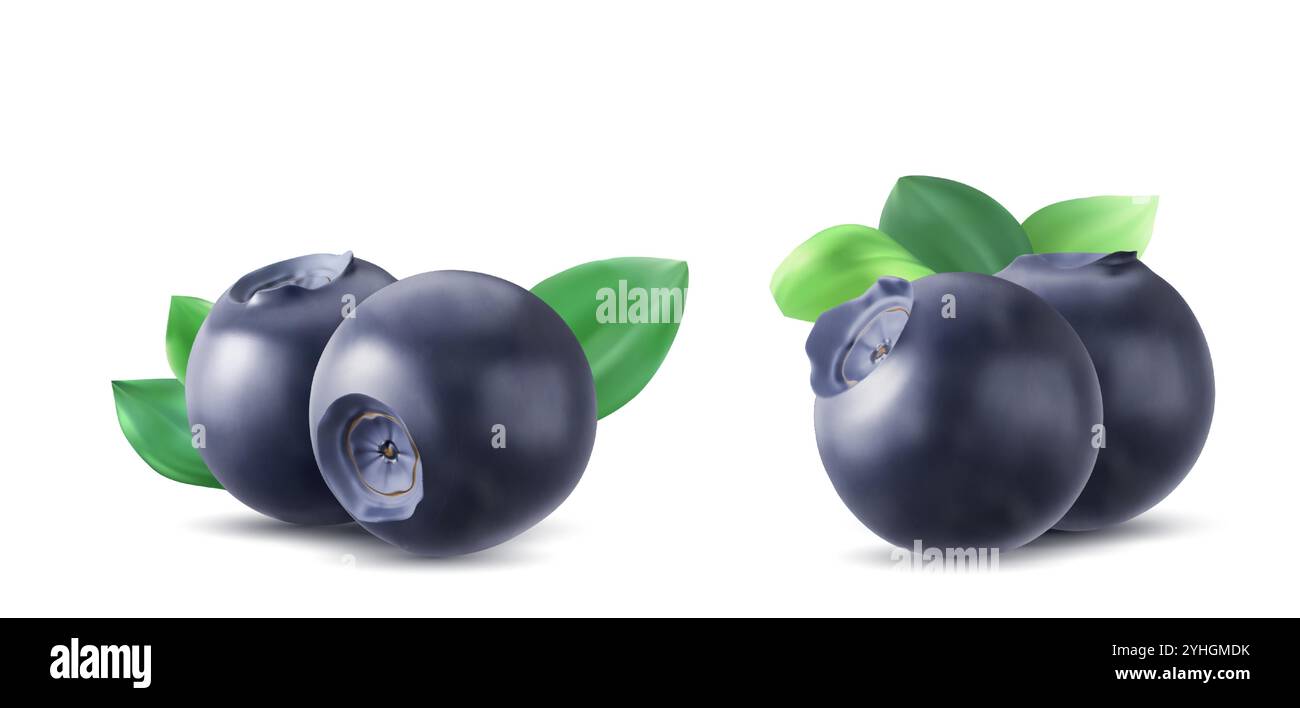 Blueberries set isolated on white background. Vector realistic ...