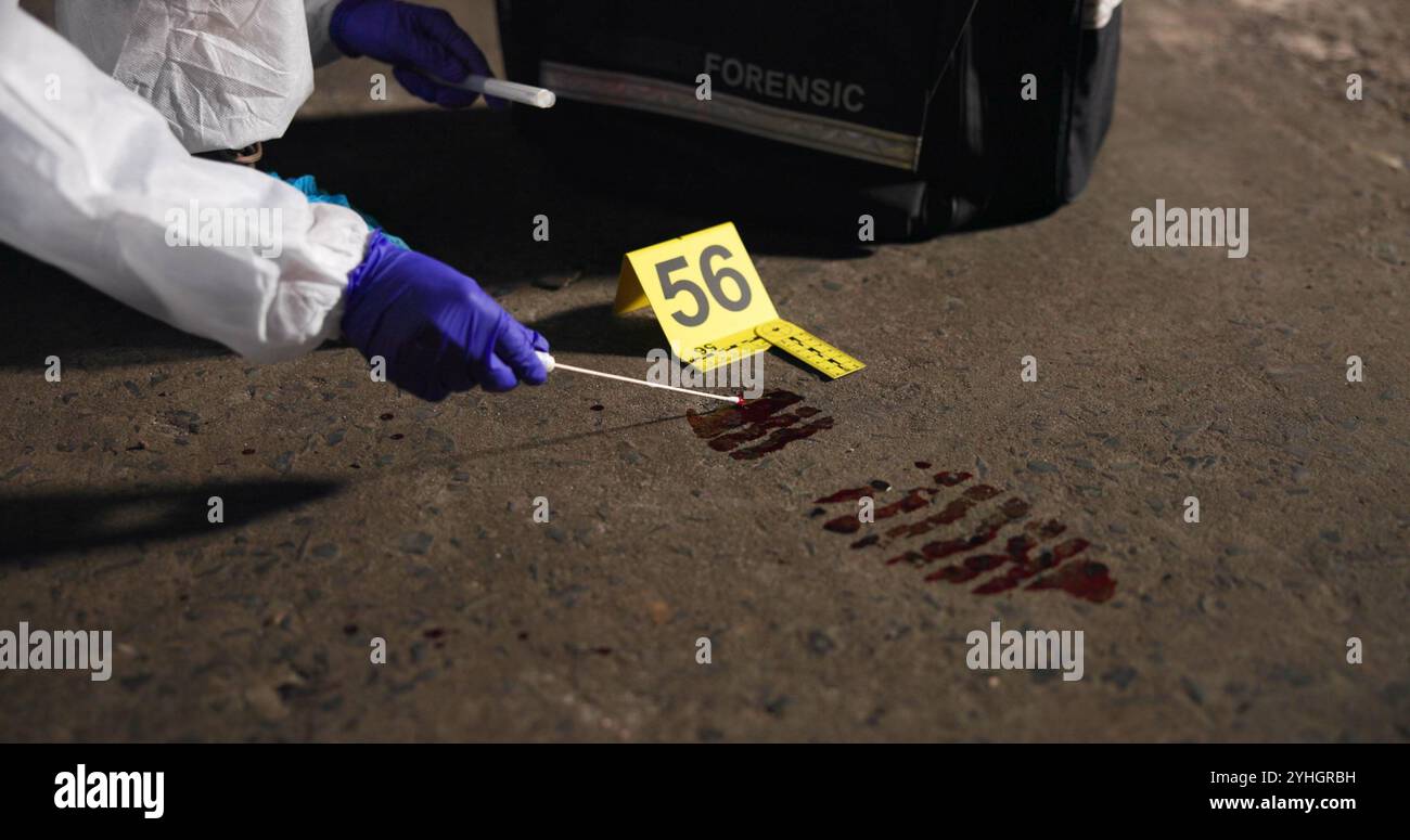 Person, hands and swab for forensics at crime scene, footprint and ...