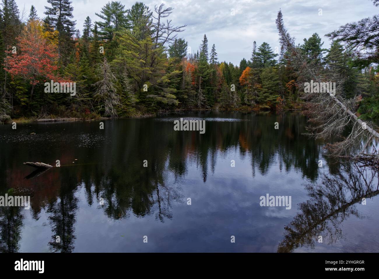 Tea lake dam hi-res stock photography and images - Alamy