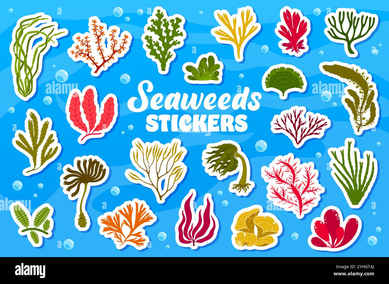 Algae patches Stock Vector Images - Alamy